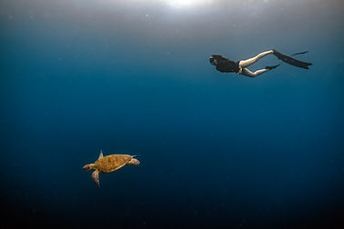 Fun diving | Diveinamigos